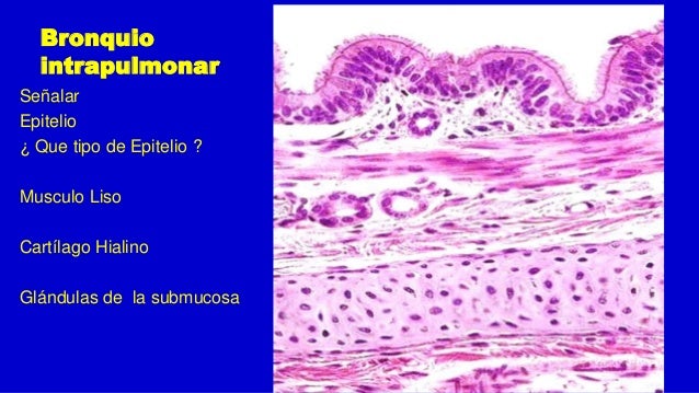 Orientacion cp respiratorio