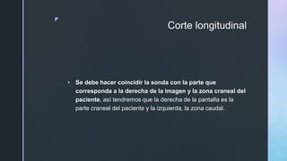 Orientación de cortes y planos en el organismo.pptx