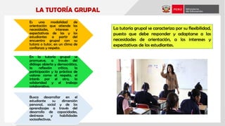 Orientacion para la turoria individual y grupal | PDF