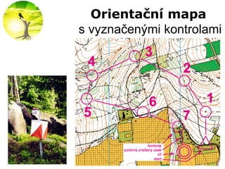 Orientak | PPT