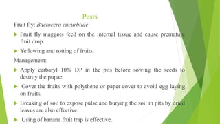 orientalpm-210917071242.pptx