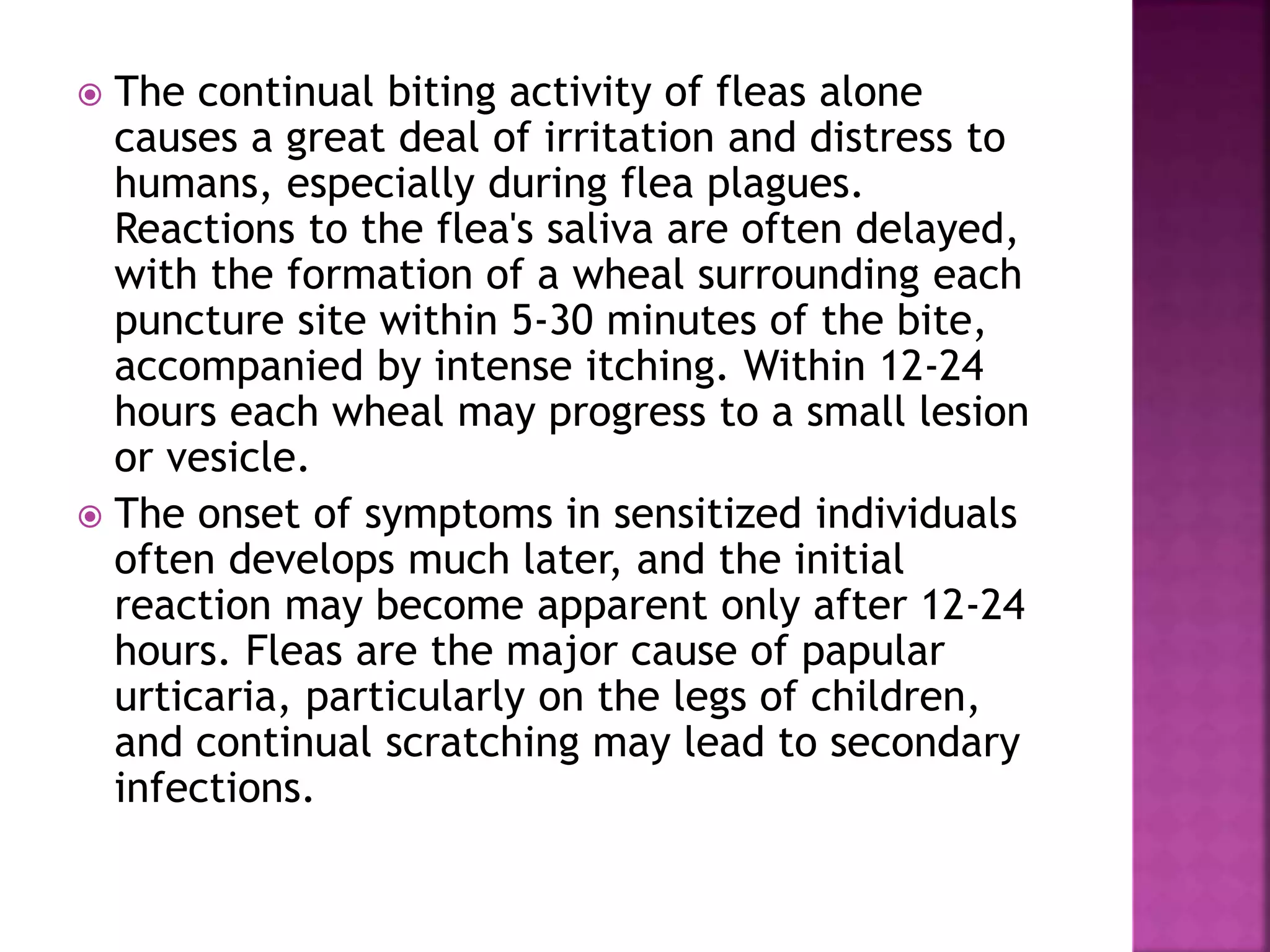 Oriental rat flea | PPTX