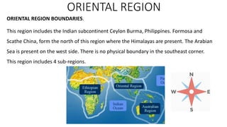 Oriental region | PDF