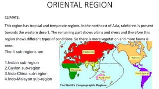Oriental region | PDF