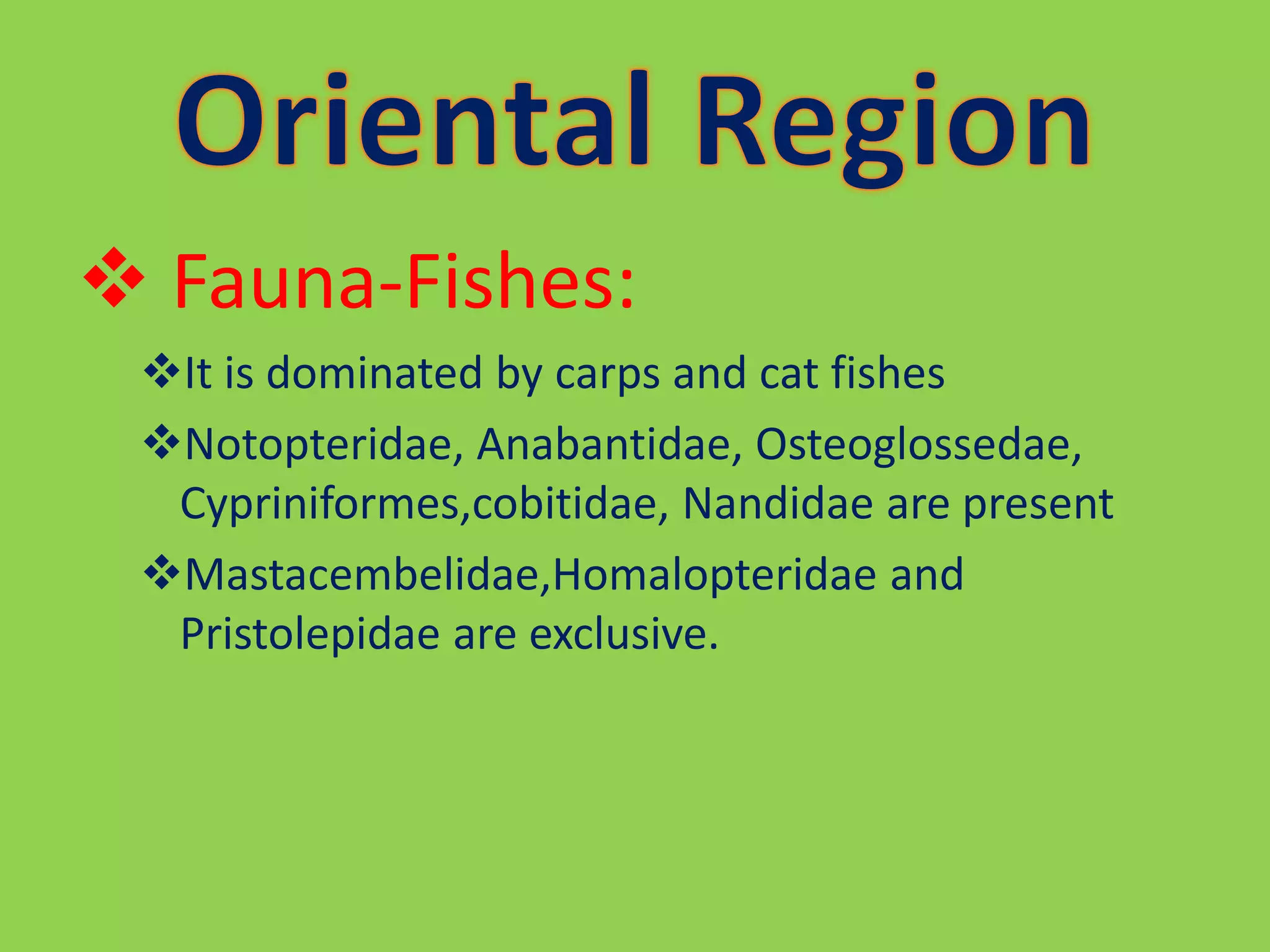 Oriental region fauna | PPTX
