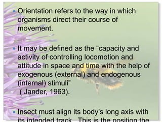 Insect orientation and behaviour | PPTX