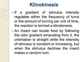 Insect orientation and behaviour | PPTX