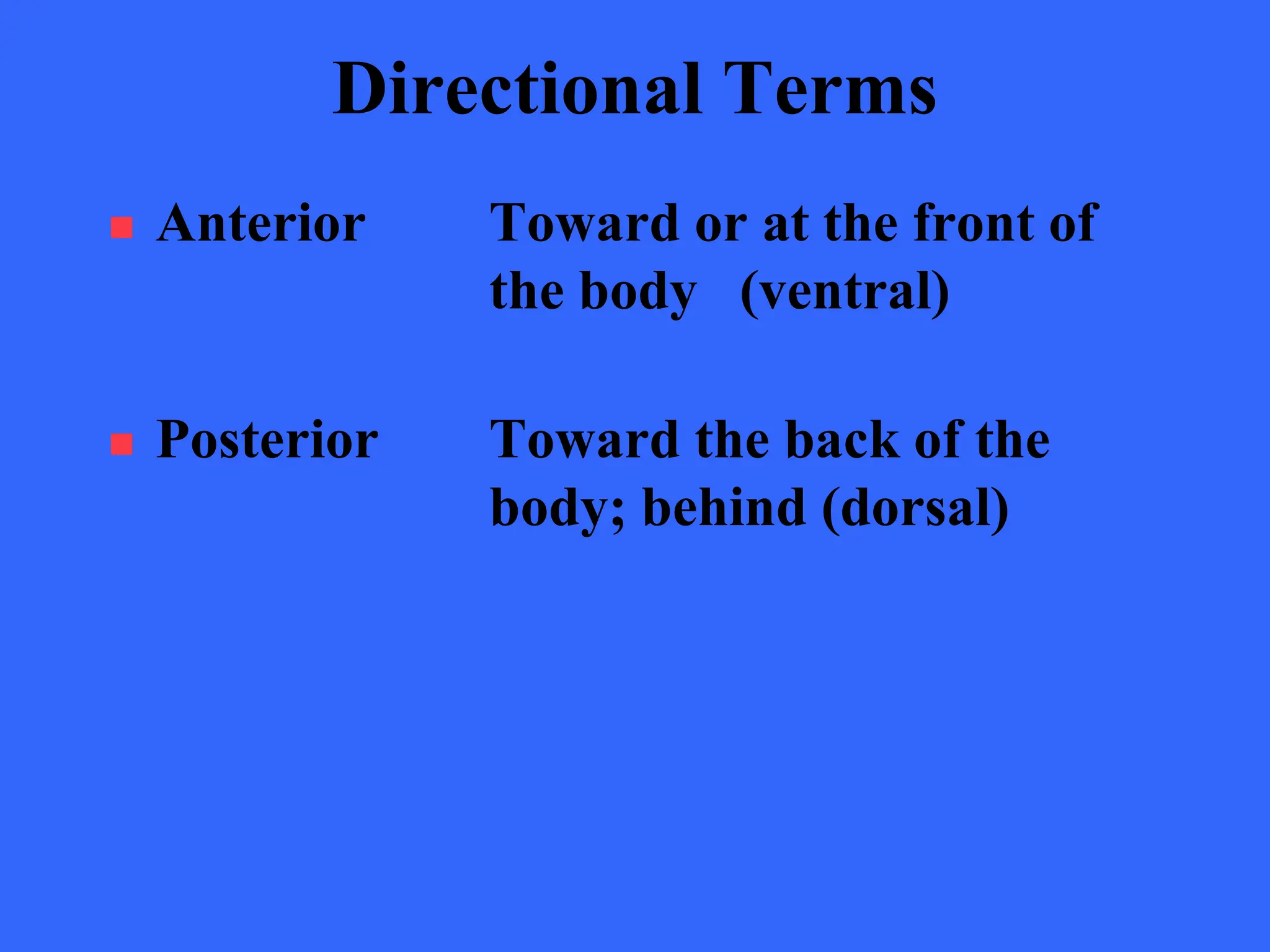 anatomical Orientation by Dr. jamil Anwar | PPT