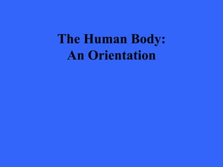 anatomical Orientation by Dr. jamil Anwar | PPT