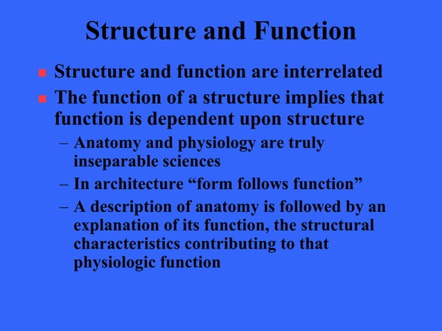 anatomical Orientation by Dr. jamil Anwar | PPT