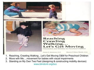 Orientation and Mobility: Part 1 | PPT