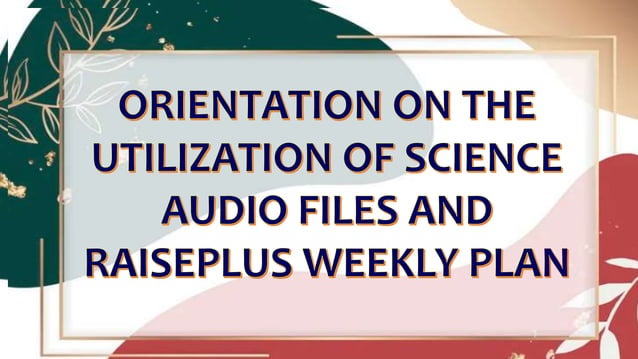 ORIENTATION-RAISEPLUS-PLAN.pptx