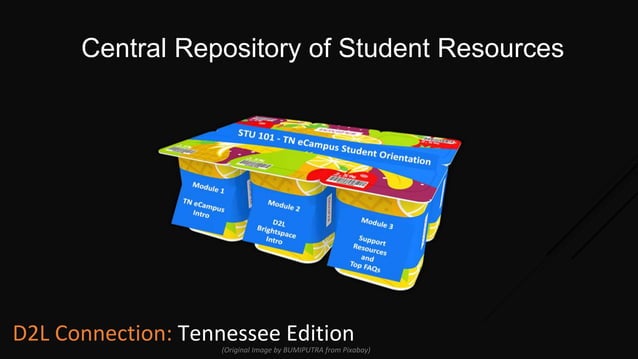 Orientation 101: Best Practices for Engaging Students with D2L | PPT