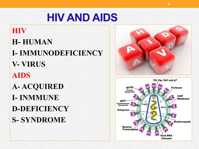 Orientation about HIV, AIDS and STIs | PPT