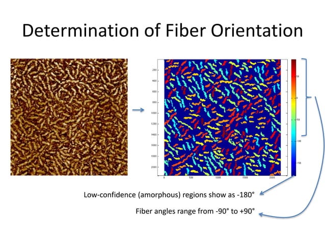 Orientation algorithm (1) | PPTX