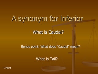Orientational jeopardy | PPT | Death, Injury, or Military Conflict ...