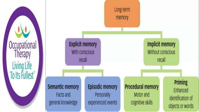 Occupational Therapy Orientation and Memory | PPTX