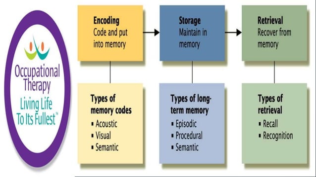 Occupational Therapy Orientation and Memory
