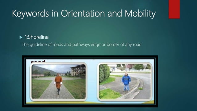 Orientation and mobility for low vision patients and rehabilitation | PPTX | Physical Therapy ...