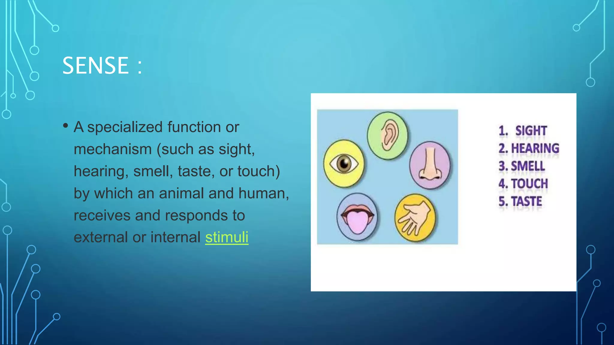 Orientation and mobility | PPTX