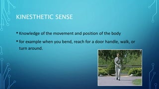 Orientation and mobility | PPTX