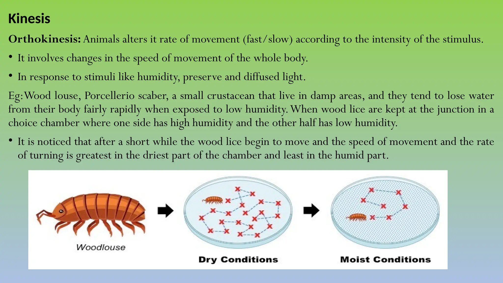 Orientation and Navigation in Animals.pptx