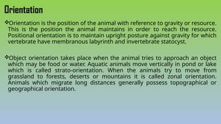 Orientation and Navigation in Animals.pptx