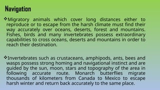 Orientation and Navigation in Animals.pptx