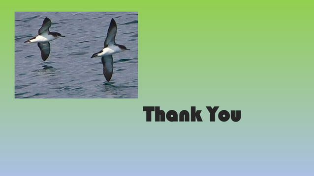 Orientation and Navigation in Animals.pptx