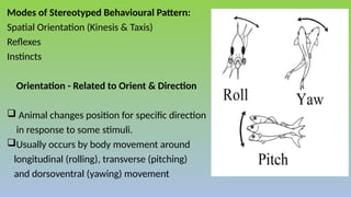 Orientation and Navigation in Animals.pptx