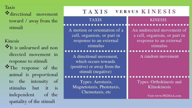 Orientation and Navigation in Animals.pptx