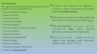 Orientation and Navigation in Animals.pptx