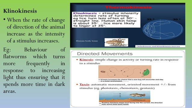 Orientation and Navigation in Animals.pptx