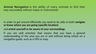 Orientation and Navigation in Animals.pptx