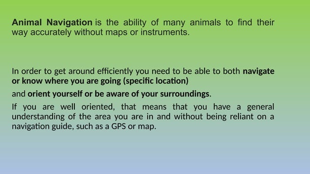 Orientation and Navigation in Animals.pptx