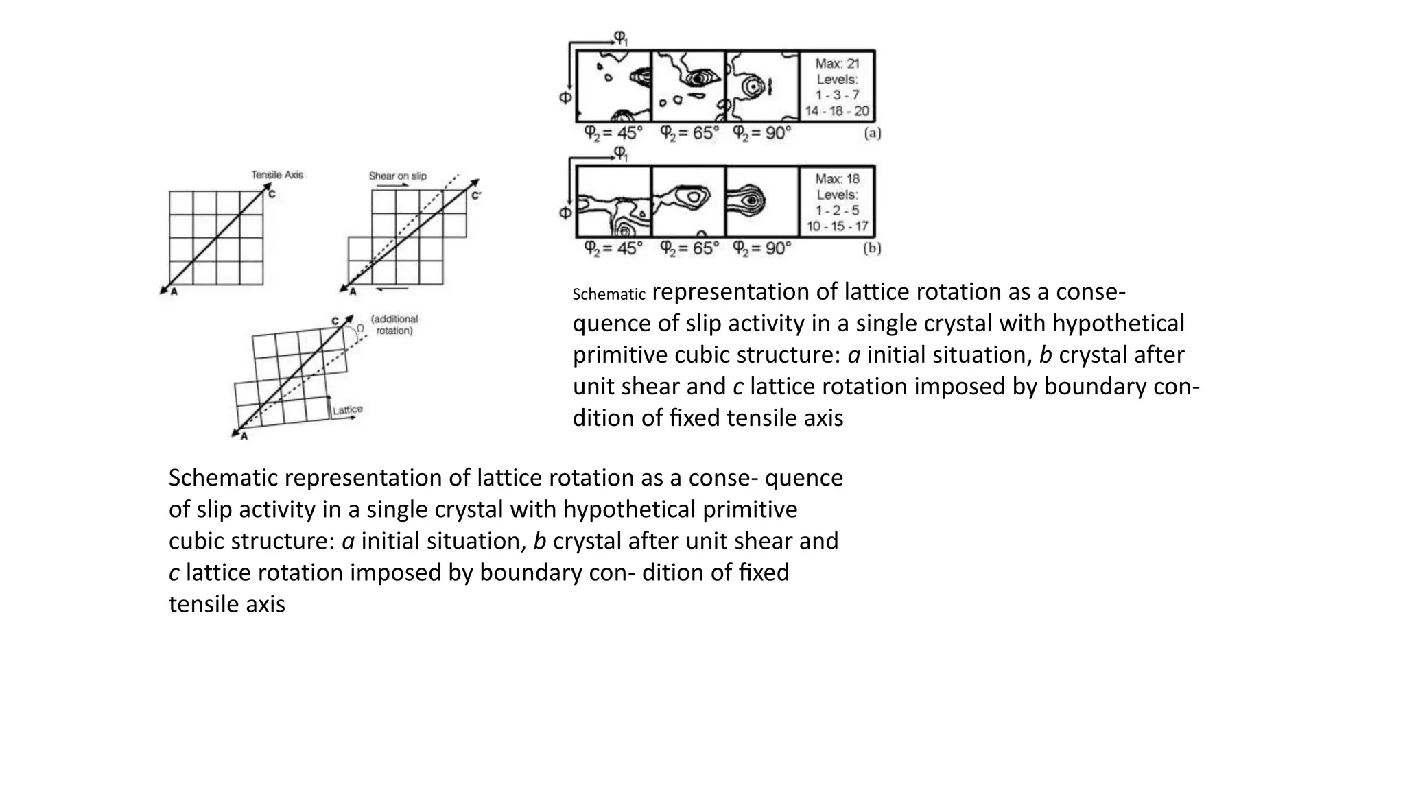 ORIENTATION BCC.pptx