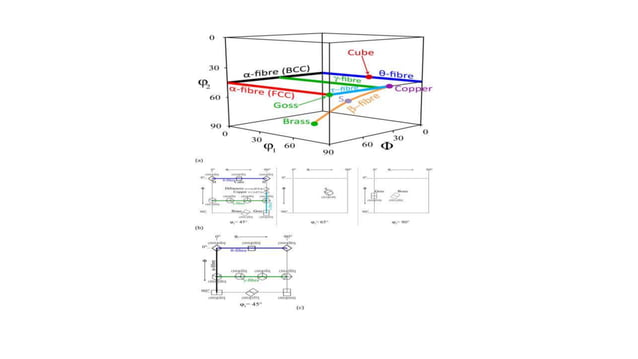 ORIENTATION BCC.pptx