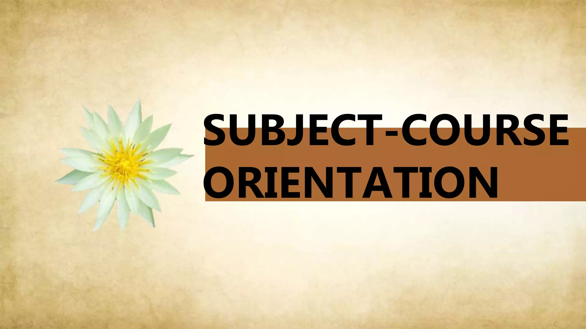 ORIENTATION (CLASS SCHEDULE) MIL.pptx