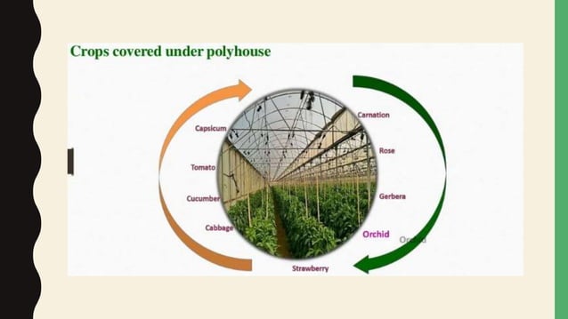 Orientation, design and principles of polyhouse | PPTX | Gardening ...