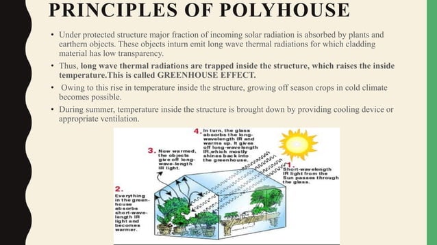 Orientation, design and principles of polyhouse | PPTX | Gardening ...