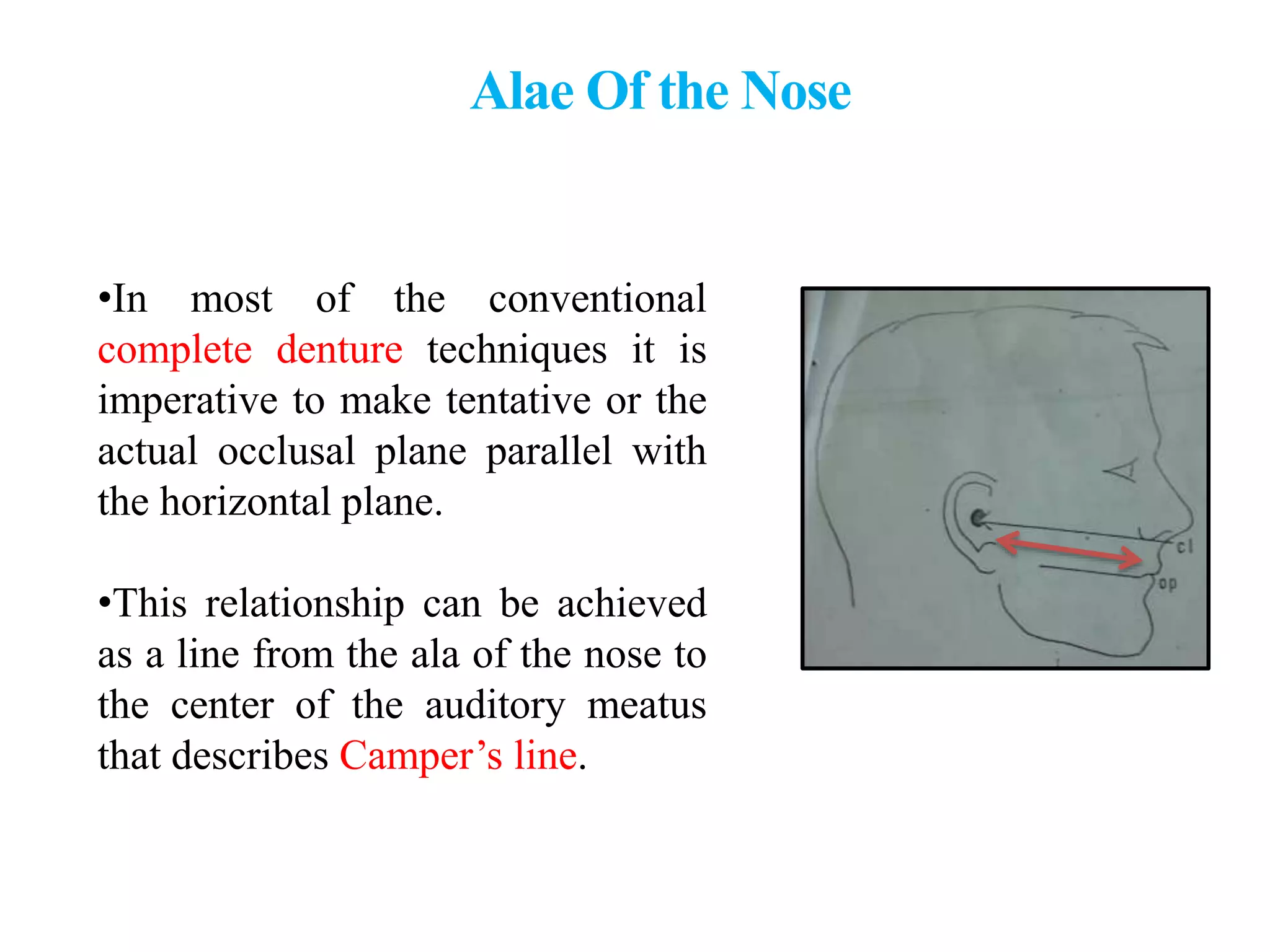 Orientation jaw relation | PPTX