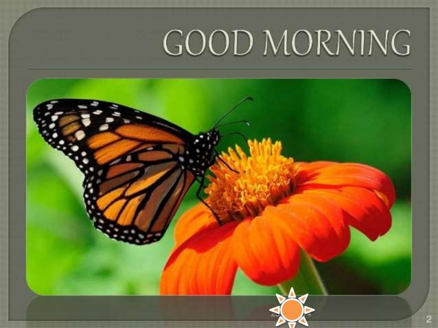 Orientation jaw relation | PPTX