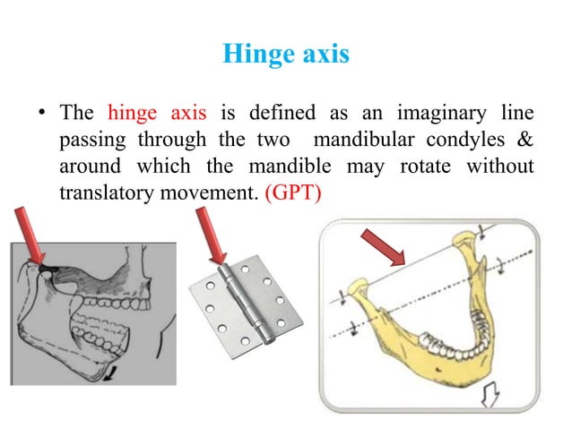 Orientation jaw relation | PPTX