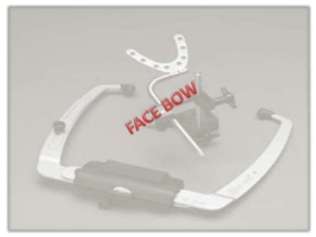 Orientation jaw relation | PPTX