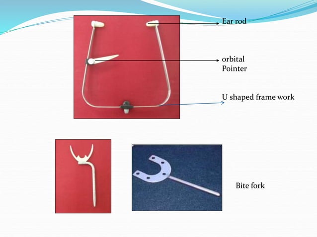 orientation jaw relation.ppt | Dental Health | Diseases and Conditions