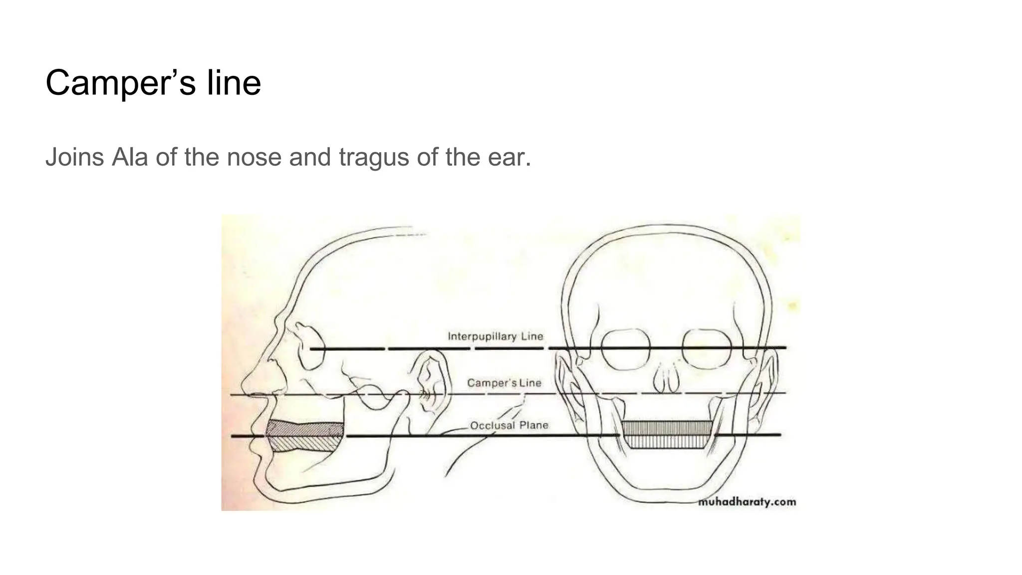 Orientation Jaw Relation required for jaw relation procedure | PPTX