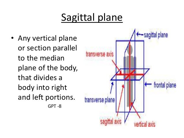 Orientation jaw relations & face bow