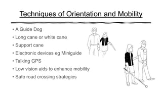 Orientation & Mobility | PPTX
