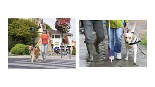 Orientation & Mobility for Persons with visual disabilities.pptx