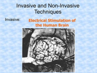 Orientation of biopsychology ppt | PPT